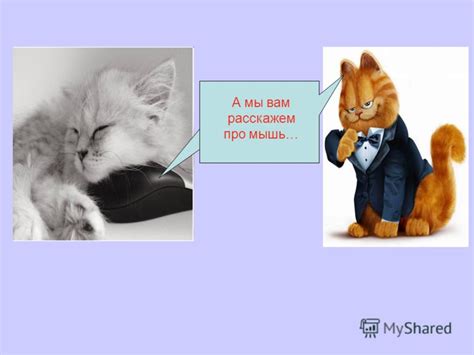 Презентация на тему: "Презентация на тему: Выполнила: Апарина Наталья ...