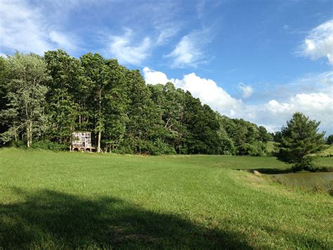 Casa Din Ferestre Construita De Un Cuplu