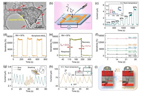 Characterization Humidity Sensing Properties And Multifunctional