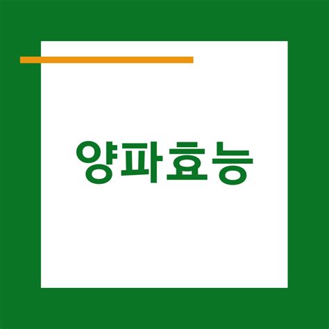 양파의 효능 자색 양파 효능 빨간 양파즙 생양파 껍질 차 와인 복용법 뇌종양 유방암에 좋은 항암 치료 음식 퀘르세틴 부작용 혈압 네이버 블로그