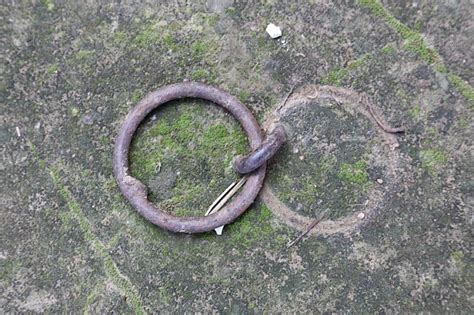 Ada