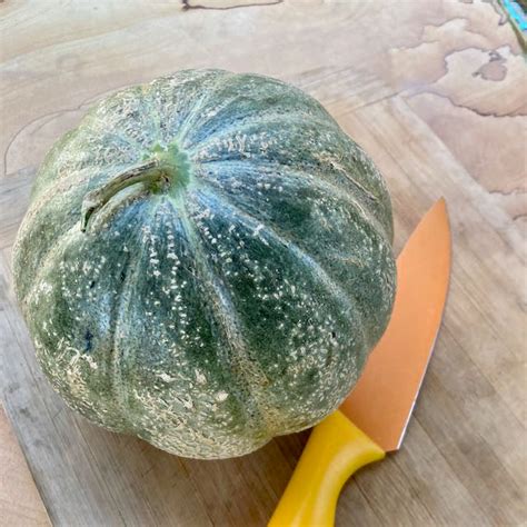 Oka Melon Vibrant Earth Seeds