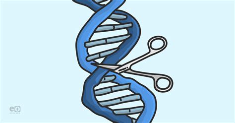 The Brilliance Trial Crispr Gene Editing For Leber Congenital Amaurosis