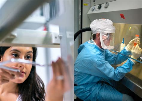 What Is Biomedical Engineering And Biomedical Science Excel Education Study In Australia