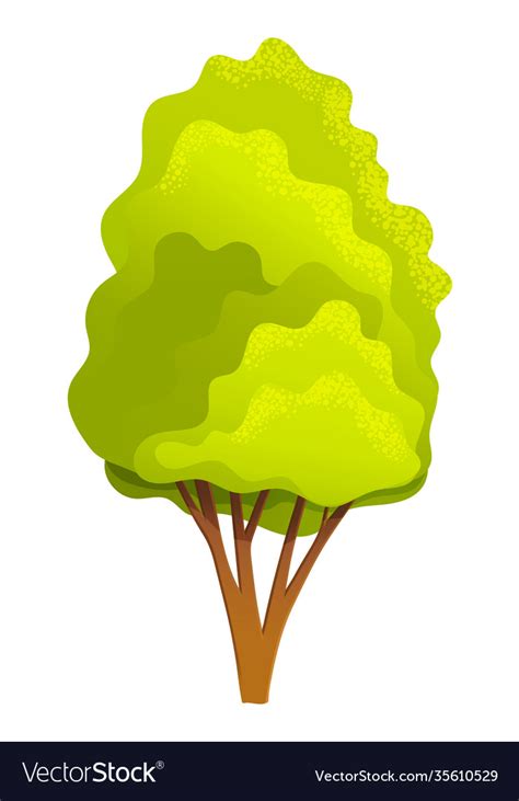 Green Bright Spring High Tree With A Lush Crown Vector Image
