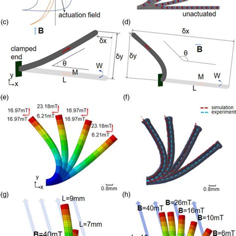 Schematic Diagram Of The Modeling And Parametric Simulations Of Fscrs