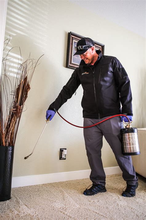 Ant Control Effective Pest Services