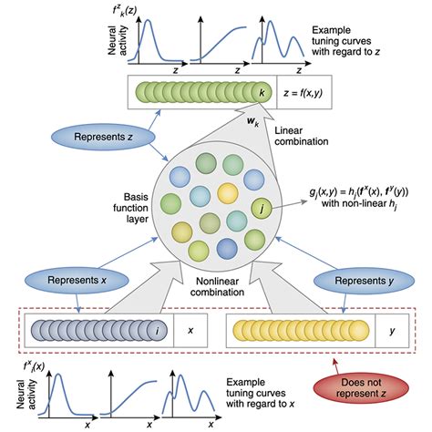 Publications Drugowitsch Lab