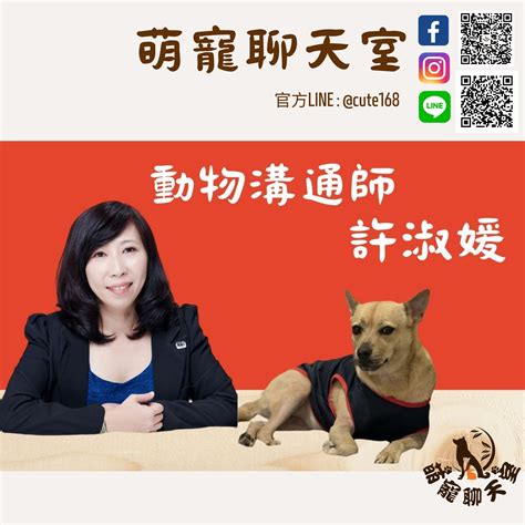 誰教會我的一件事寵物溝通教會我的一件事 feat 寵物溝通師 許淑媛 貝大小姐與瑞餚姐の囂脂私蜜話