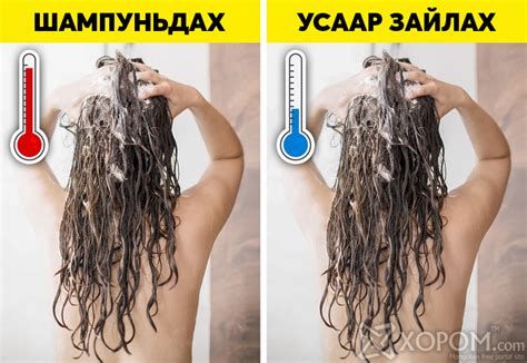 Үс яагаад хурдан тослогтдог 7 шалтгаан болон үүнийг хэрхэн шийдэх арга