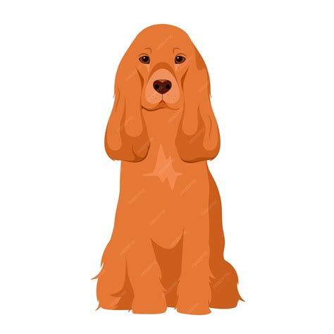 Cocker Spaniel Em Um Fundo Branco Projeto De Desenho Animado Vetor