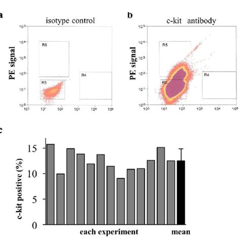Percentage Of C Kit Cells In Whole Cell Populations Flow Cytometric