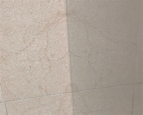 A Tile Next To Our Shower Created A Nude Body R Mildlyinteresting