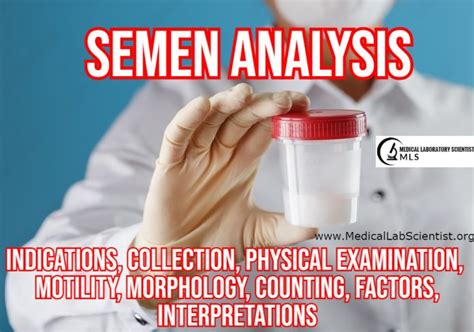 Semen Analysis Indications Collection Physical Examination Motility Morphology Counting