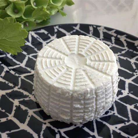 Chevre Starter Culture | How to Make Cheese | Cheese Making