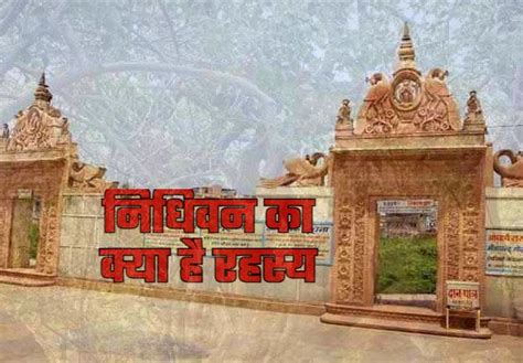 क्यों है आज भी निधिवन अचरज का विषय जानिए 10 रहस्य Nidhivan Vrindavan