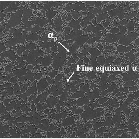 The Microstructure Of Initial Sample Download Scientific Diagram