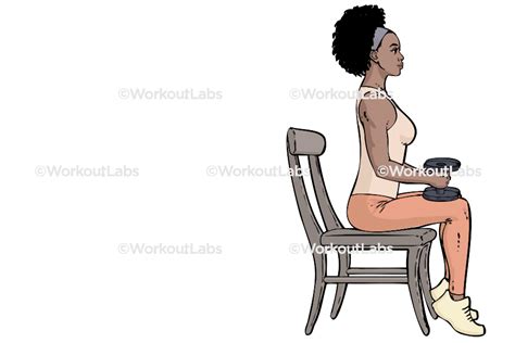 Seated Dumbbell Chair Calf Raises Workoutlabs Exercise Guide