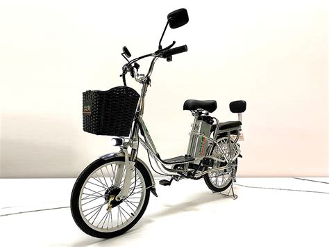 Купить электровелосипед GreenCamel Транк 20 V8 (R20 250W 60V 10Ah) в ...