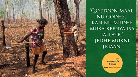 Mammaaksa Yoosaad Online Learning Platform