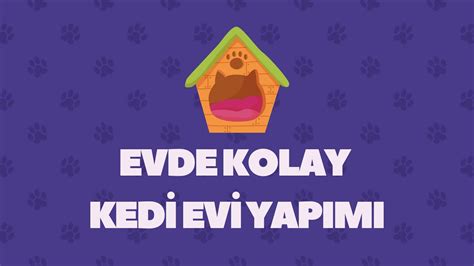 Evde Kolay Kedi Evi Yapımı