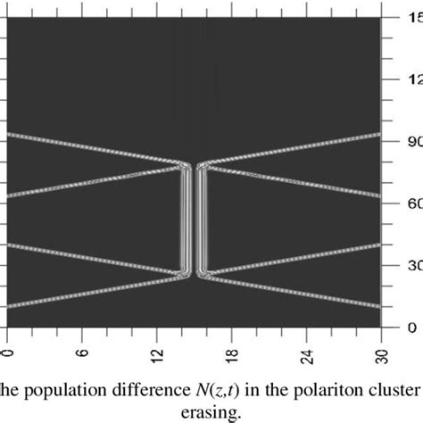 Dynamics Of The Polarization P Z T In The Polariton Cluster During Its