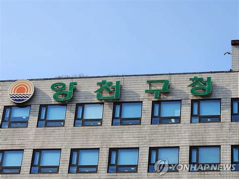 양천구 미용실·이발소 위생서비스 점검39가 최우수등급 나무뉴스