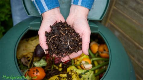 Composting At Home A Beginners Guide