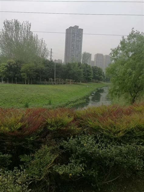 春意盎然春意濃濃 每日頭條