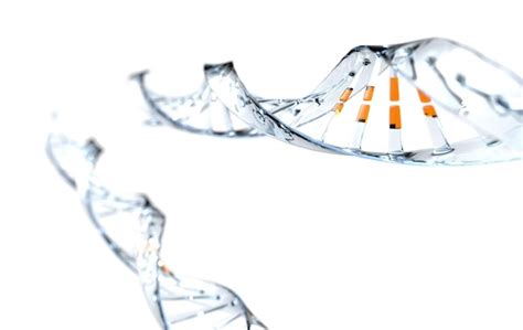 Estructura de hélice transparente de vidrio de adn sobre fondo blanco