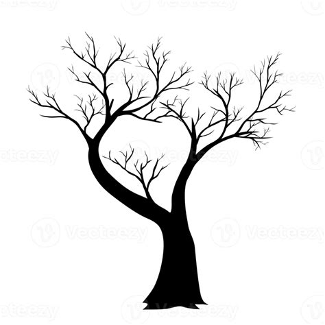 Silueta De árbol Sin Hojas 12981526 Png