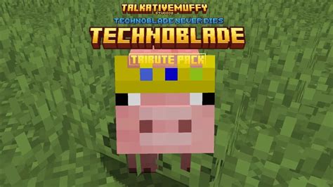 The Technoblade Tribute Texture Pack Minecraft Texture Pack