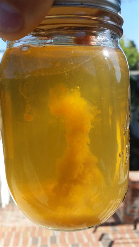 Kombucha Tea Antonios Notes