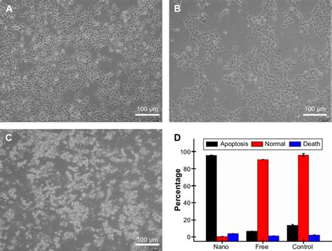 Morphologies Of 4t1 Cells After Incubation With A Control B Free