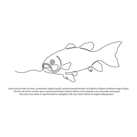 일반적인 카르프 물고기 터 일러스트레이션의 연속적인 한 줄 예술 그림 프리미엄 벡터