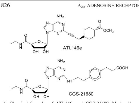 Figure 1 From Adenosine A2a Receptor Activation Reduces Infarct Size In