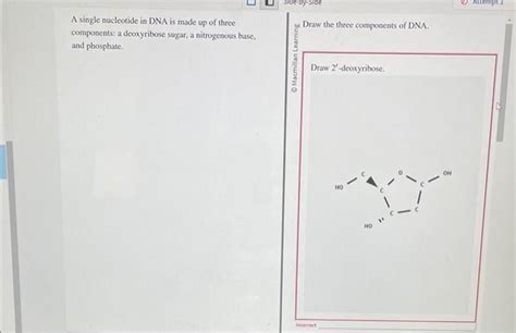 Solved A Single Nucleotide In DNA Is Made Up Of Three Components A 1 Answer Transtutors