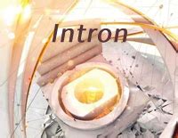Intron Kemu Free Piano Sheet Music Piano Chords