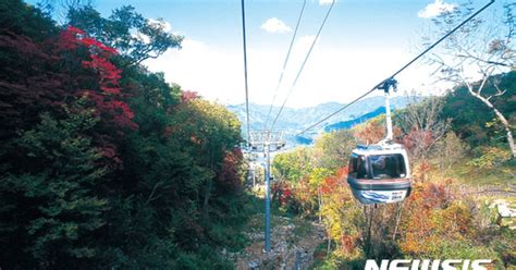 단풍 구경 덕유산으로 오세요 이번 주말 단풍 절정