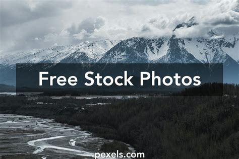 Sensitive Habitat Photos Download The Best Free Sensitive Habitat