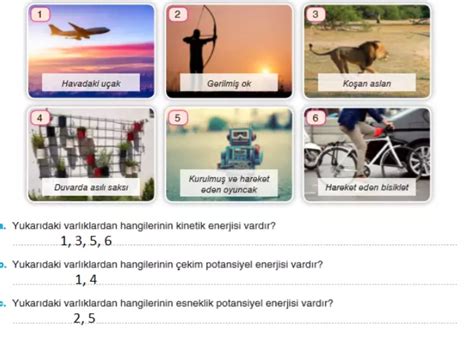 7 Sınıf Fen Bilimleri Aydın Yayınları Ders Kitabı Cevapları Sayfa 66