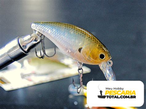 Isca Turbinada Para Robalo Dicas Para A Pesca De Sucesso Pescaria Total