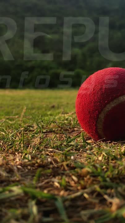 Purvi Chotai On Linkedin Cricketpassion Cricketlove Cricketlife