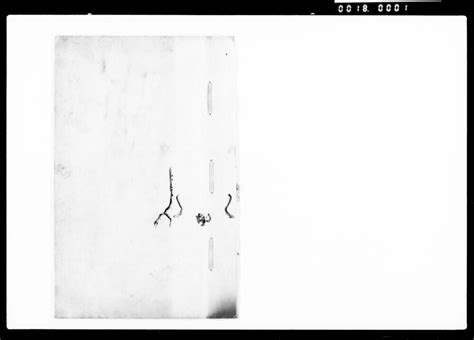 委任状高橋是清 ペルー共和国内にて事業 Tomuco Tokyo Museum Collection