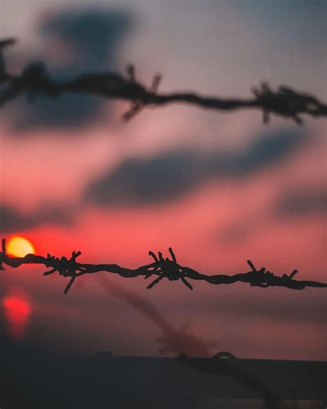 عکس های نرده های سیم خاردار برای پروفایل و پس زمینه زندانی