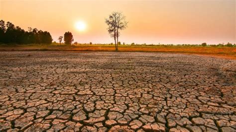 El Niño To Shift From Moderate To Strong By Years End Pagasa