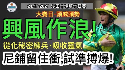 小梁論馬 11月21日沙田日賽 大賽日頭威頭勢 興風作浪 從化秘密練兵吸收靈氣 尼鋪留住衝試準搏爆 賽馬kol