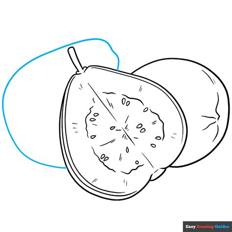 How To Draw A Guava Really Easy Drawing Tutorial