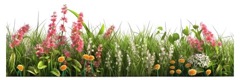 Flower Grass Pngs For Free Download