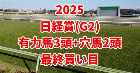 中京競馬場 芝2000mの特徴と攻略情報まとめ｜コースを初心者向けにわかりやすく解説！ うましる